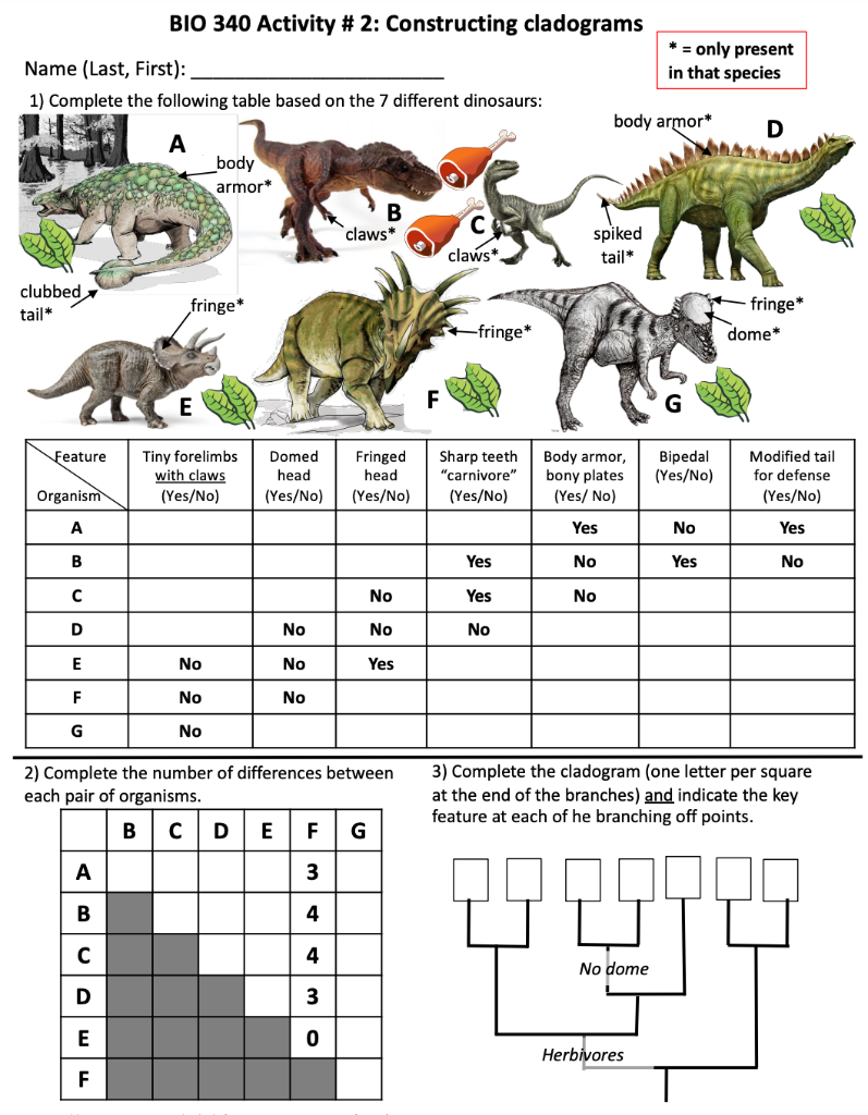 Solved BIO 340 Activity # 2: Constructing cladograms * = | Chegg.com