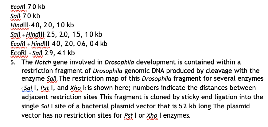 Solved 3. The linear bacteriophage λ genomic DNA has at each | Chegg.com