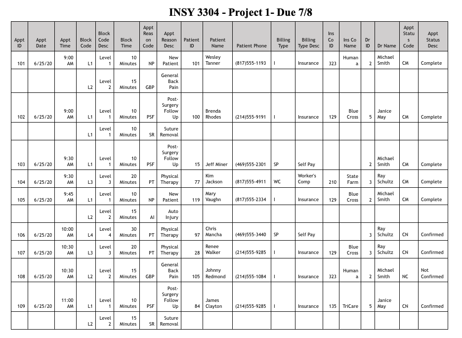 Solved INSY 3304 - Project 1 - Due 7/8 Appt Reas on Code | Chegg.com