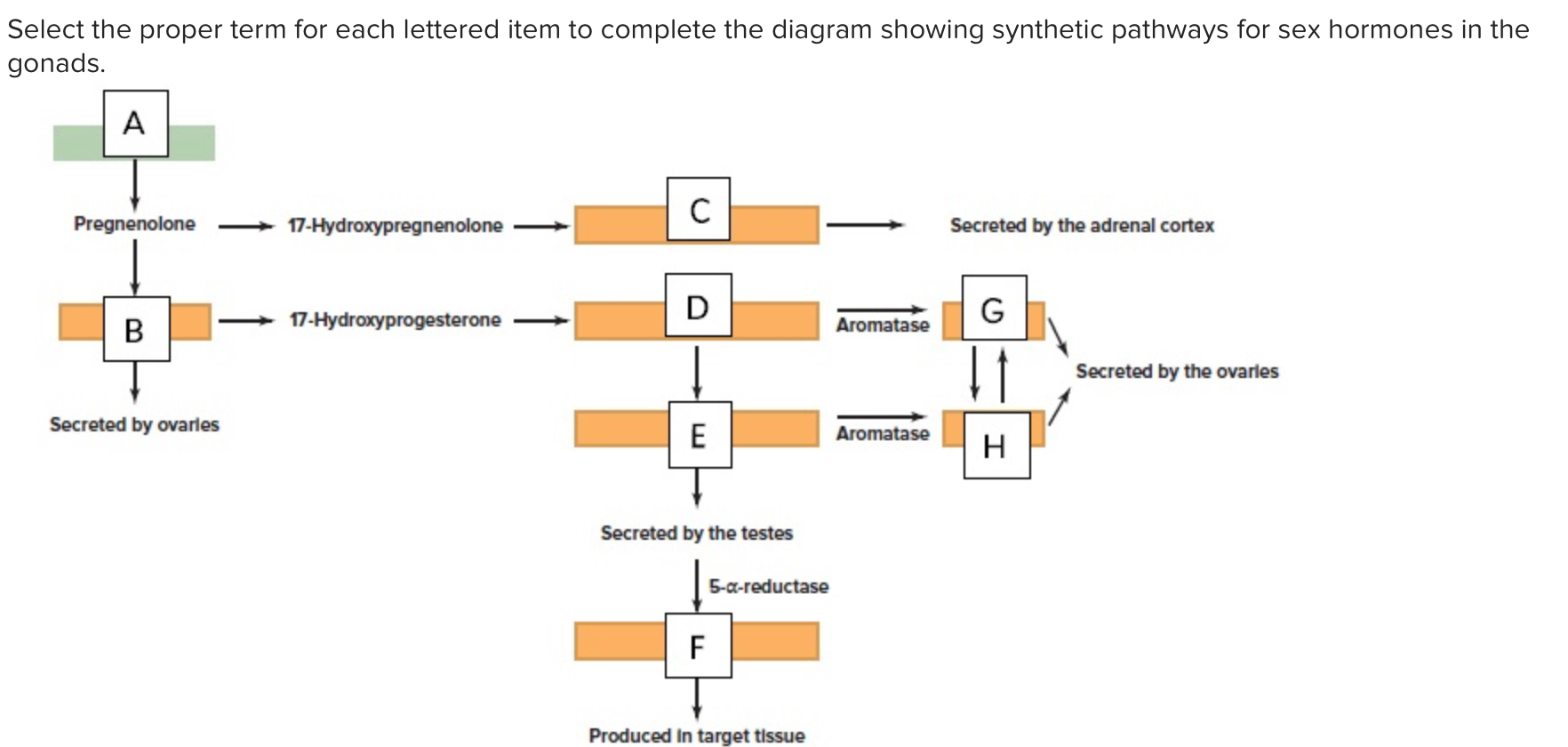 Solved Select The Proper Term For Each Lettered Item To 