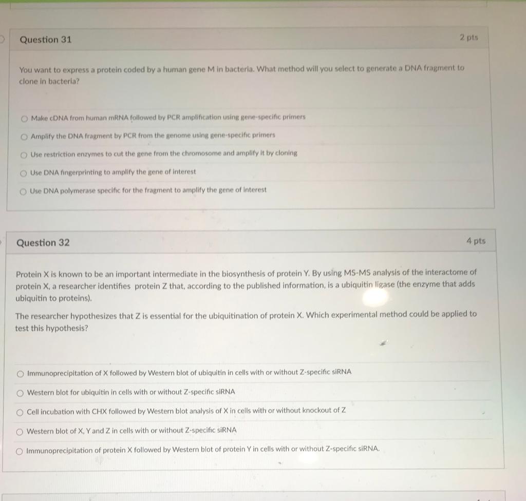 Solved Question 31 2 pts You want to express a protein coded | Chegg.com