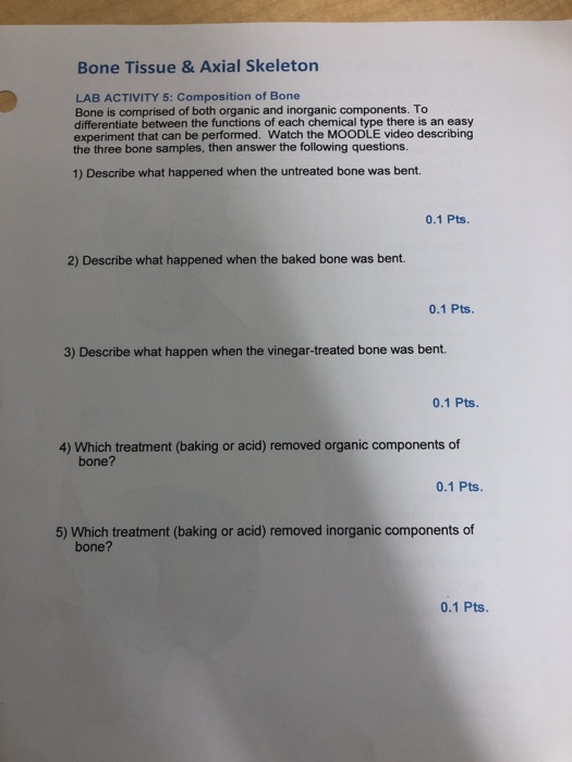 Solved Bone Tissue & Axial Skeleton LAB ACTIVITY 5: | Chegg.com