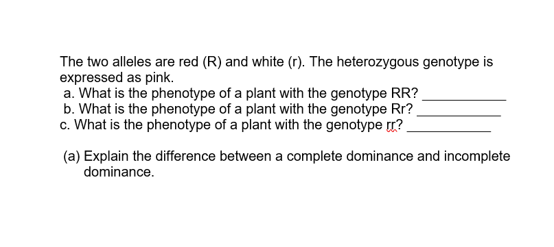 Solved The two alleles are red (R) and white (r). The | Chegg.com