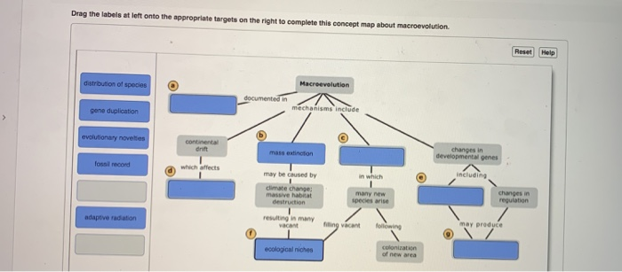 Solved Drag the labeis at lett onto the appropriate targets | Chegg.com