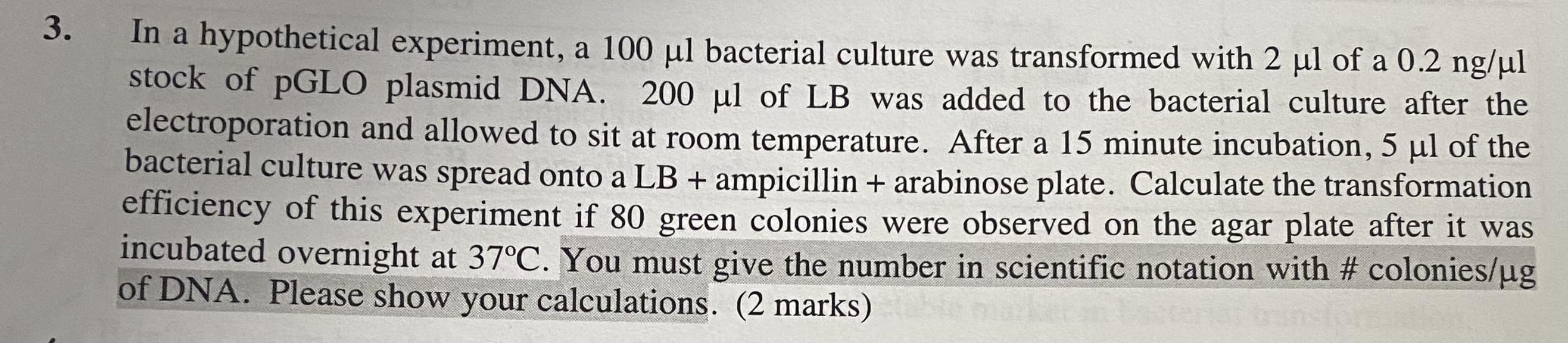 Solved In a hypothetical experiment, a 100μl bacterial | Chegg.com
