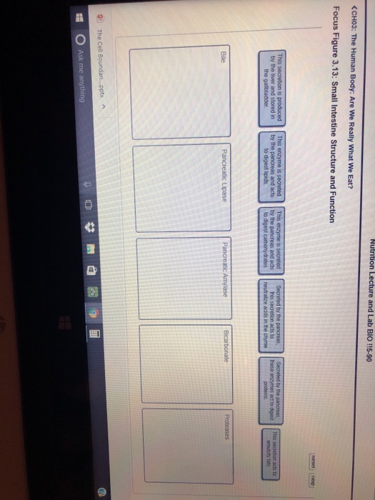 Solved CSecure | https//session Nutrition Lecture and Lab | Chegg.com
