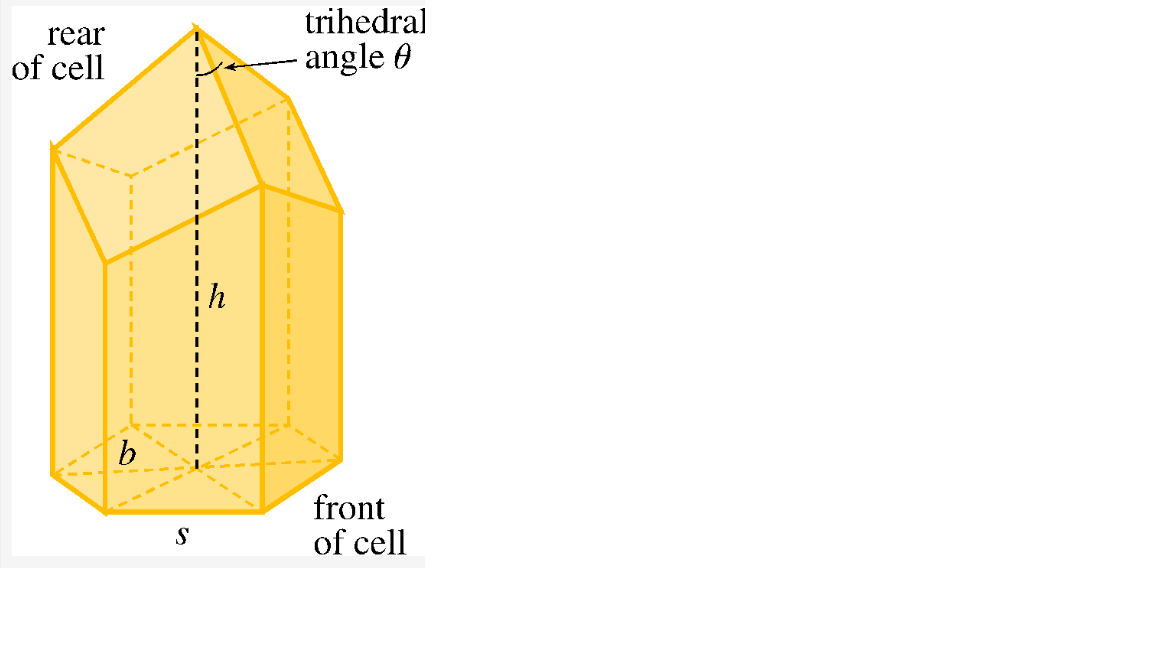 Solved trihedral rear angle of cell b front of cell In a | Chegg.com