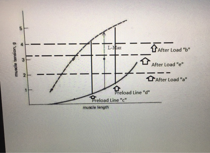 Solved What will happen to active tension if the afterload | Chegg.com
