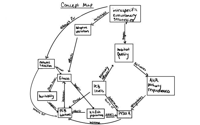 Solved Need help with a concept map. Need help making | Chegg.com Solved Need help with a concept map. Need help making | Chegg.com