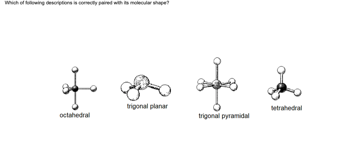 Solved Which of the following molecules does not follow the | Chegg.com