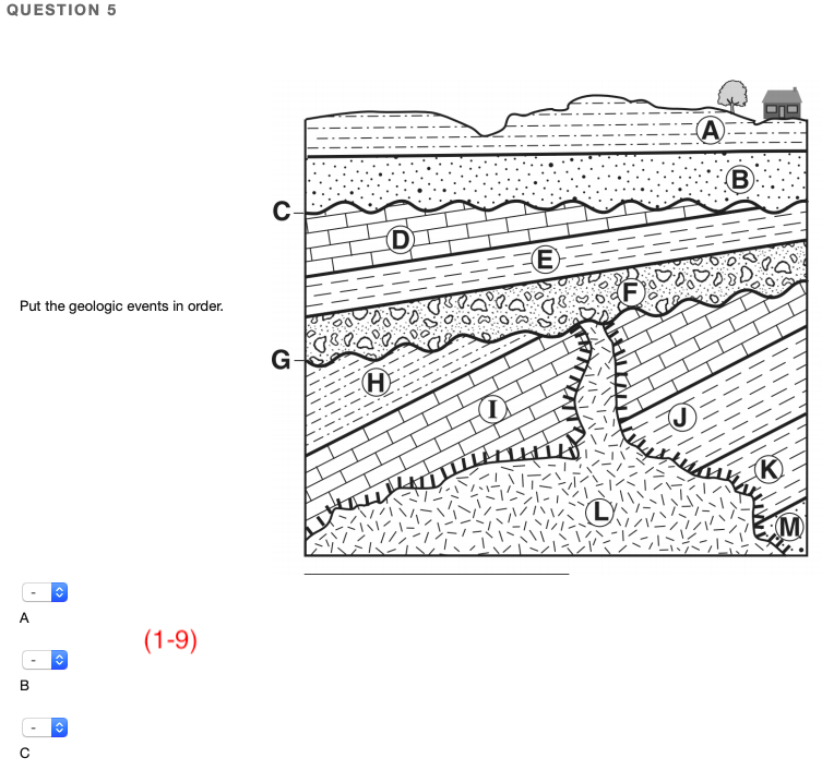Solved What is the correct sequence of events from oldest to | Chegg.com