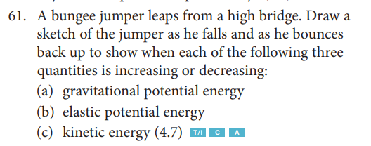 Solved 61. A bungee jumper leaps from a high bridge. Draw a | Chegg.com