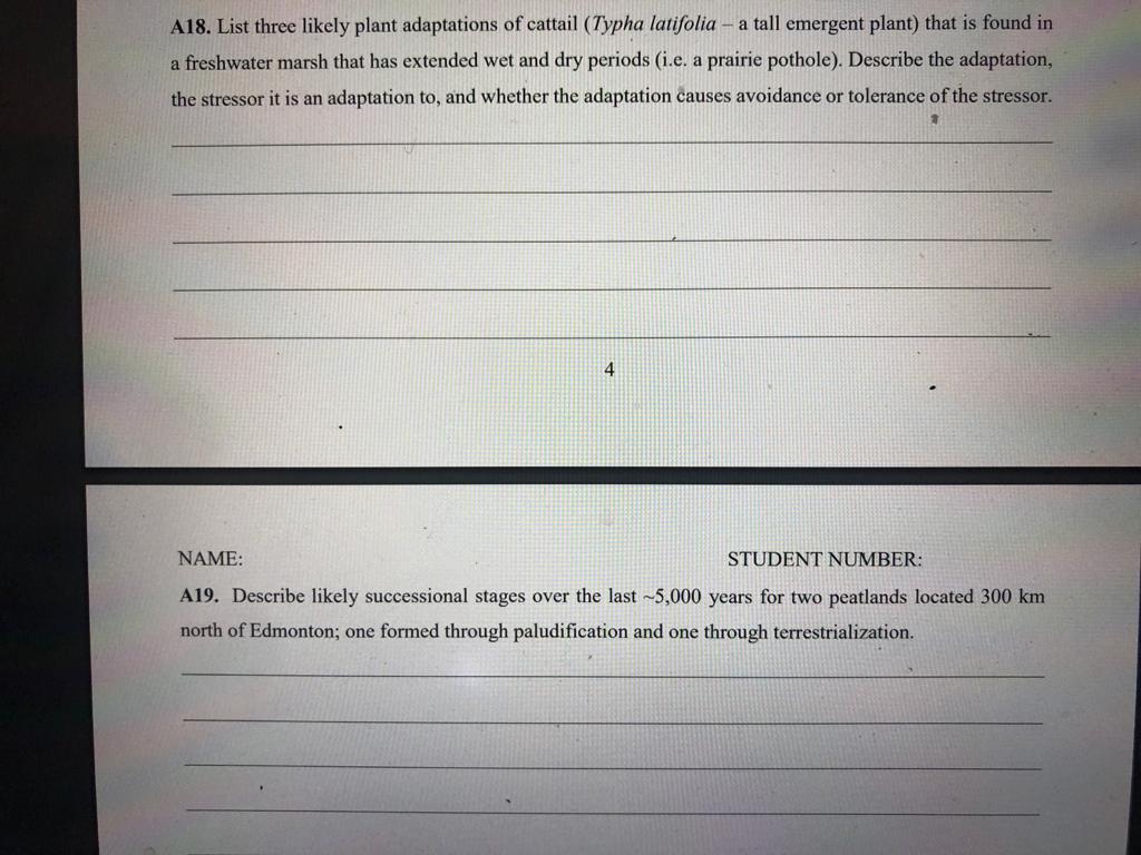 Solved A18. List three likely plant adaptations of cattail | Chegg.com