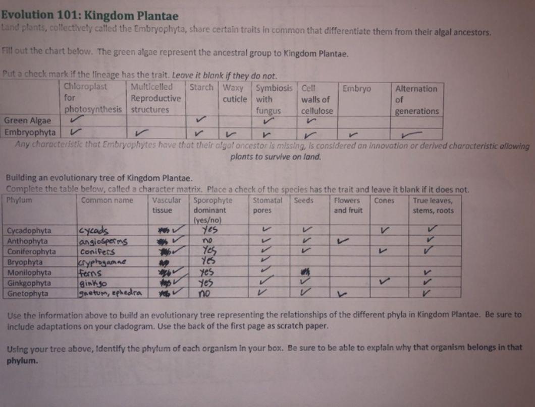 Solved Evolution 101: Kingdom Plantae Land plants, | Chegg.com