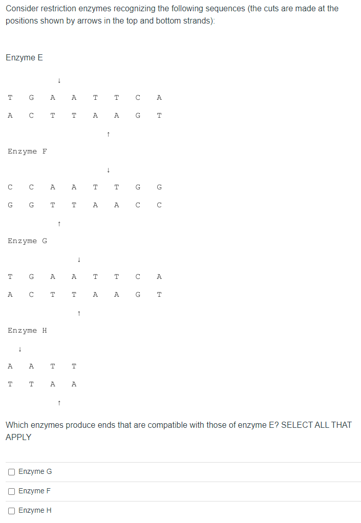 Solved Consider restriction enzymes recognizing the | Chegg.com