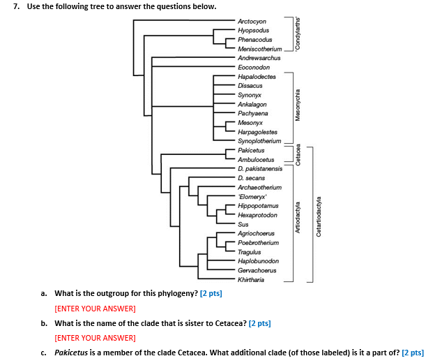 Solved Condylarth Mesonychia Cetacea 7. Use the following | Chegg.com