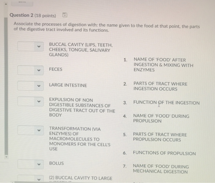 Solved Question 2 (18 points) Associate the processes of | Chegg.com