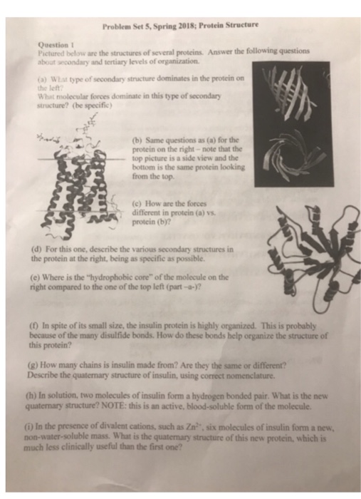Solved Problem Set 5, Spring 2018; Protein Structure | Chegg.com