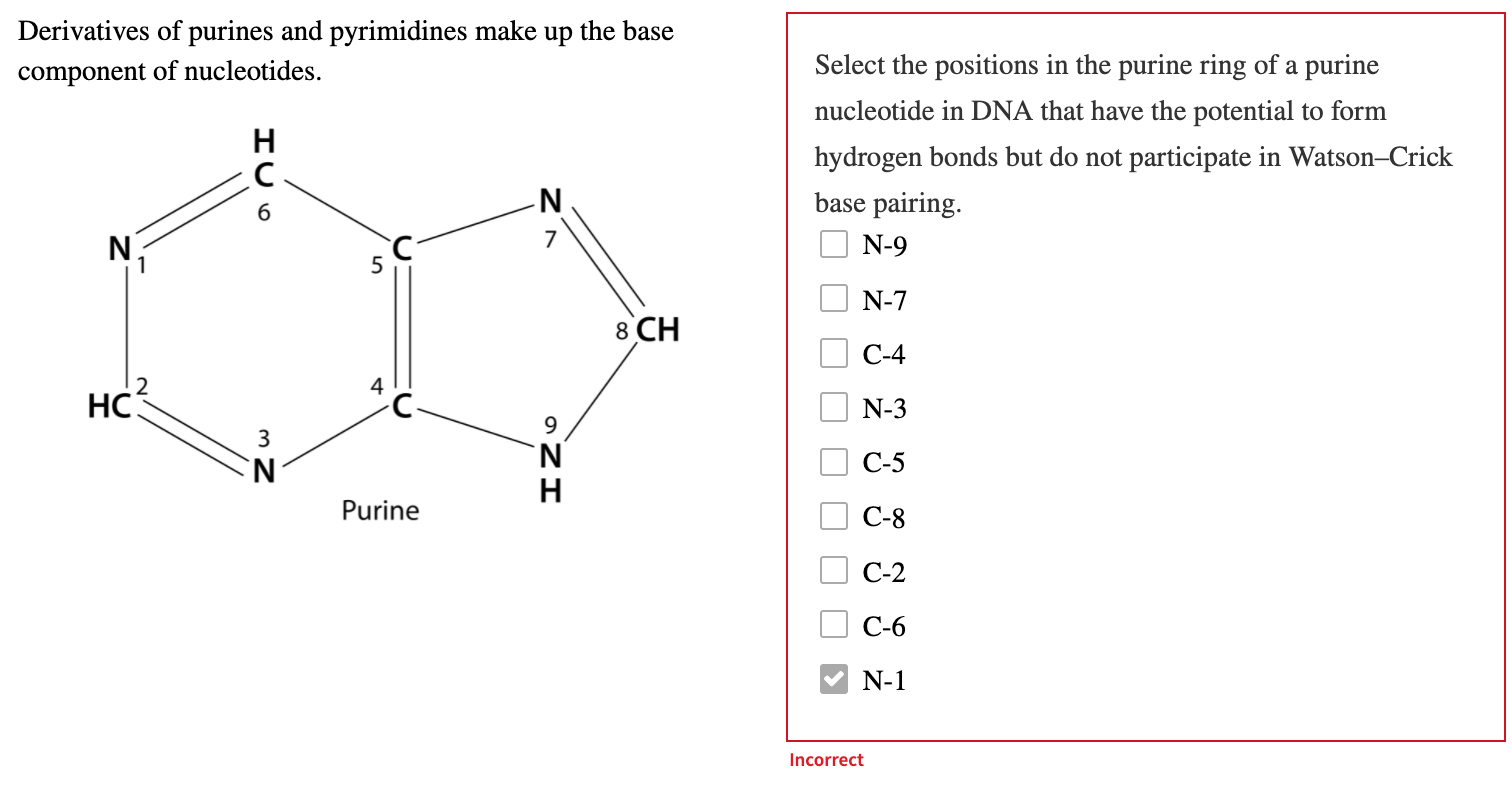 Solved Derivatives of purines and pyrimidines make up the | Chegg.com