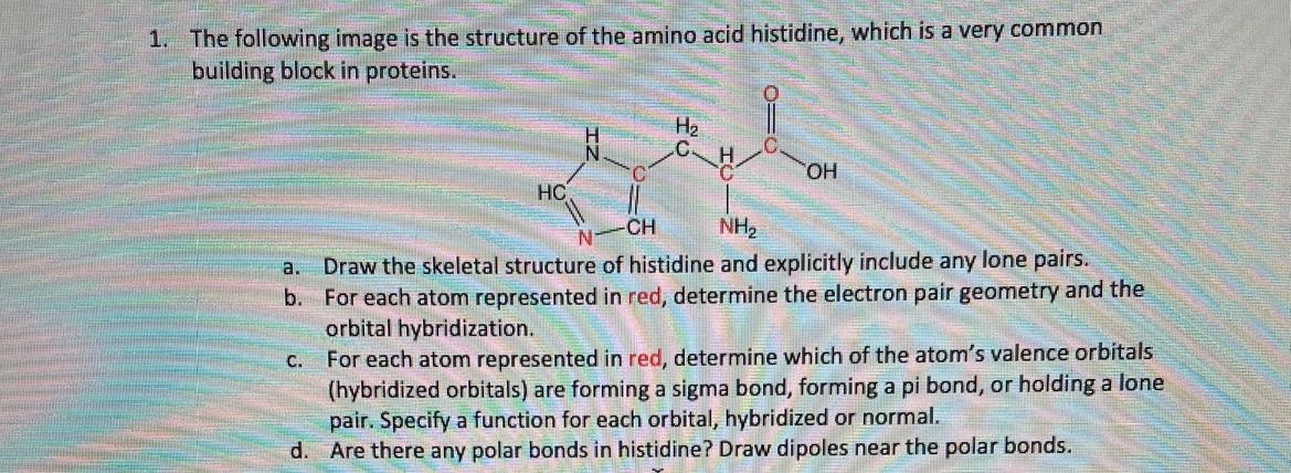 Solved 1. The following image is the structure of the amino | Chegg.com