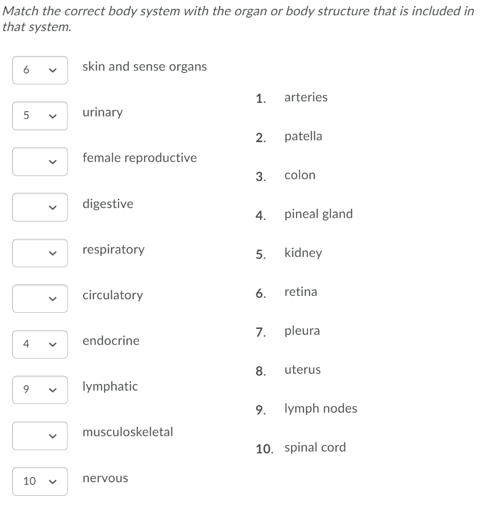 Solved Match the correct body system with the organ or body | Chegg.com