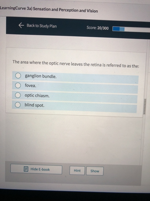 Solved LearningCurve 3a) Sensation and Perception and Vision | Chegg.com