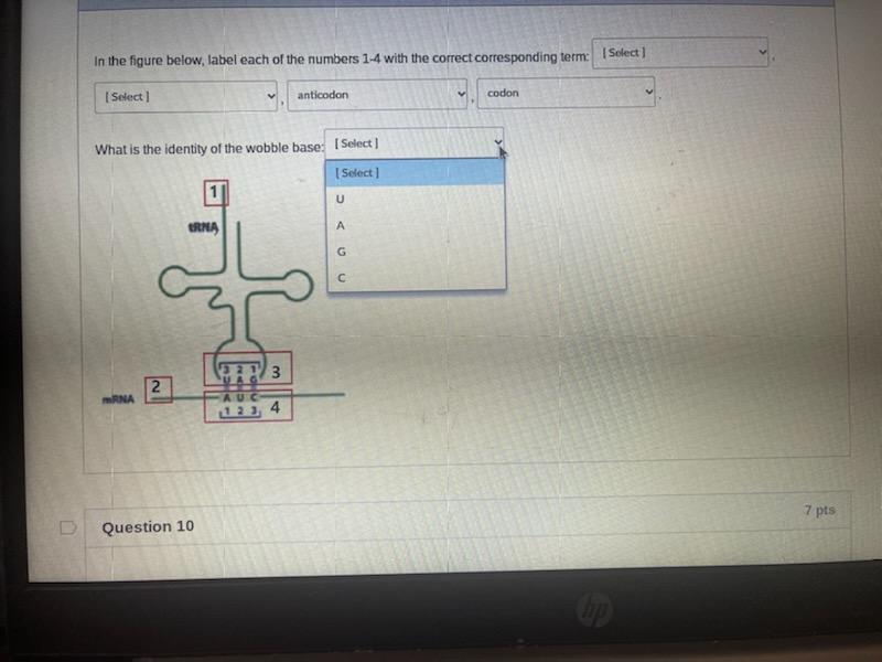 Solved Question 9 In the figure below, label each of the | Chegg.com