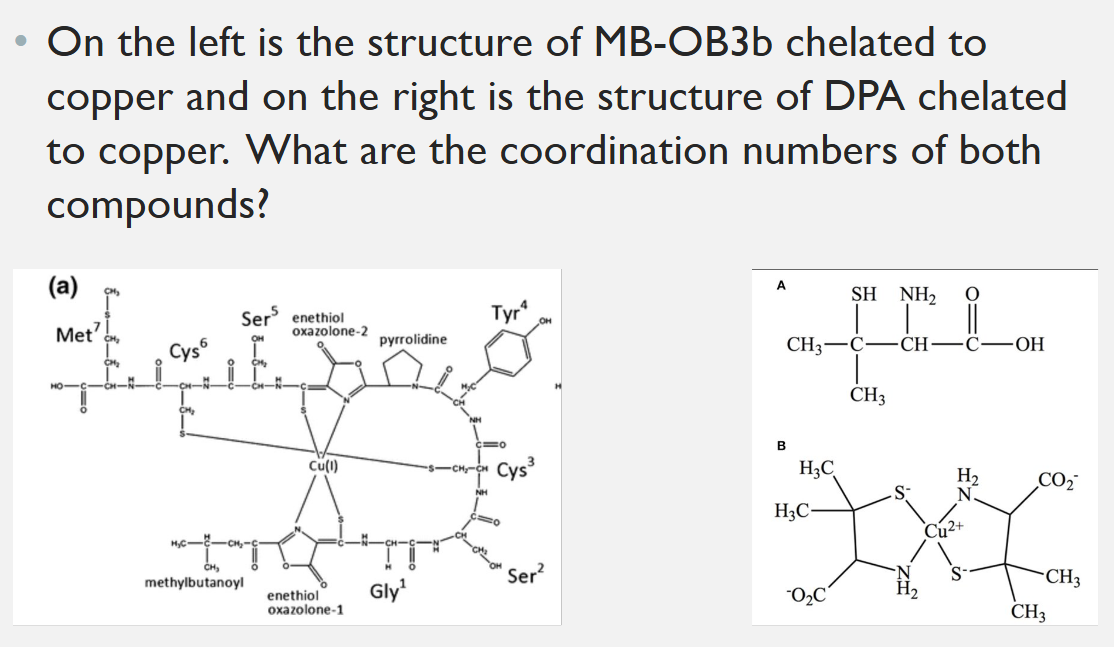 Solved On the left is the structure of MB-OB3b chelated to | Chegg.com