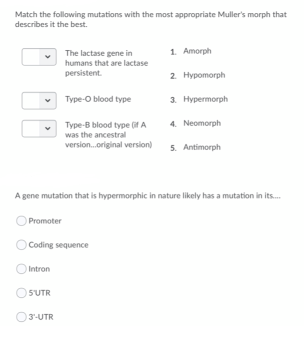 Solved Match the following mutations with the most | Chegg.com