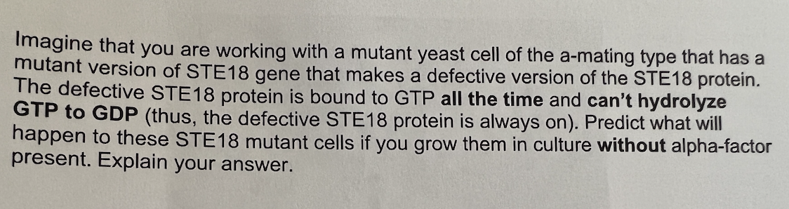 Solved Imagine that you are working with a mutant yeast cell | Chegg.com