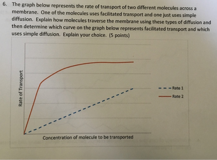 Solved The graph below represents the rate of transport of | Chegg.com