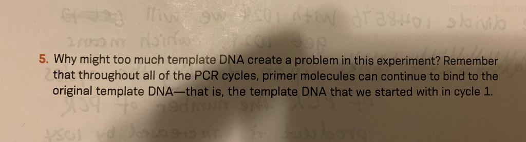 Solved 5. Why might too much template DNA create a problem | Chegg.com