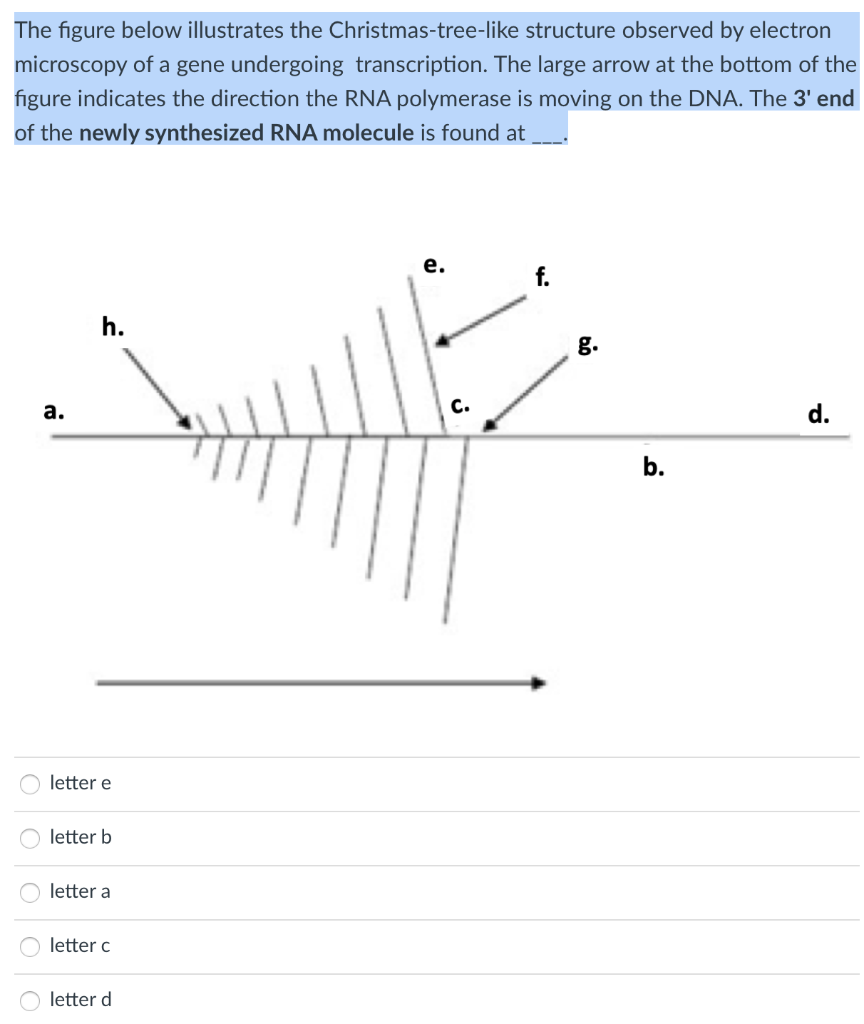 Solved The figure below illustrates the Christmas-tree-like | Chegg.com