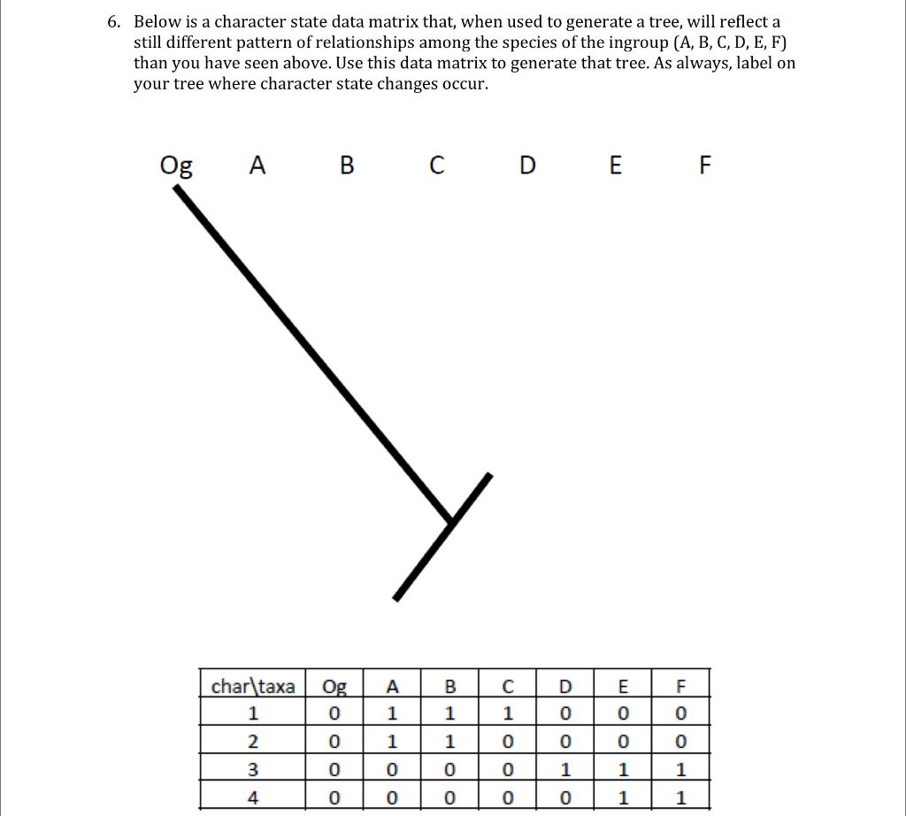 6. Below is a character state data matrix that, when | Chegg.com