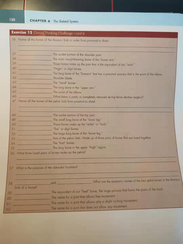 Solved 150 CHAPTER 6 The Skeletal System Exercise 12 | Chegg.com