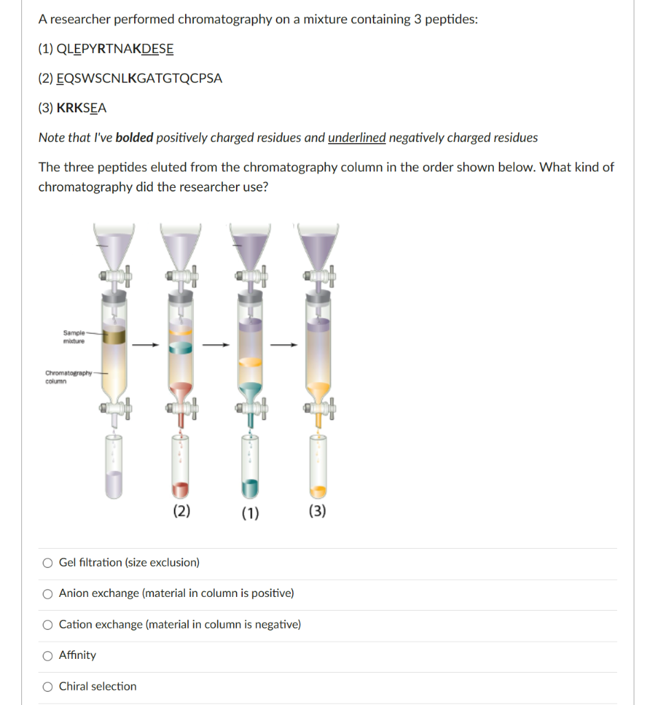 Solved A researcher performed chromatography on a mixture | Chegg.com