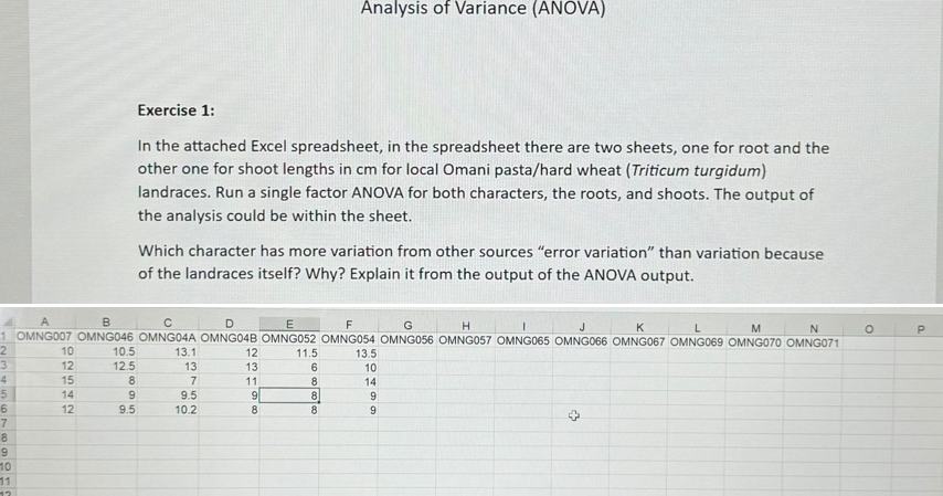 Solved Exercise 1:In the attached Excel spreadsheet, in the | Chegg.com
