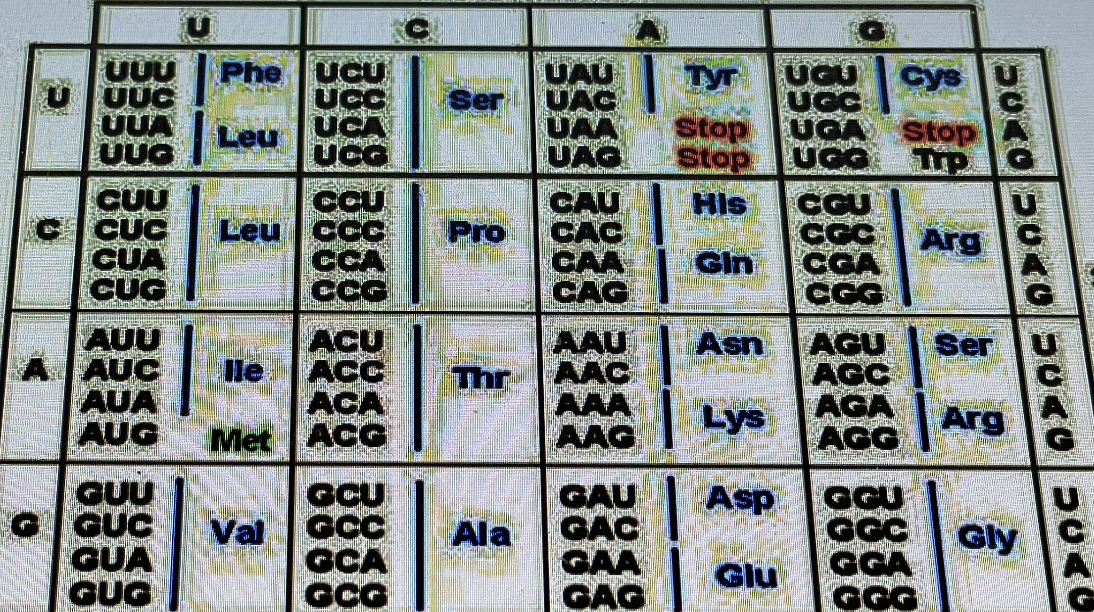 Solved Using the genetic code table, fill in the RNA and DNA | Chegg.com