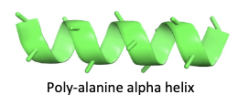 Solved A polypeptide of 15 alanines (poly-alanine) forms an | Chegg.com