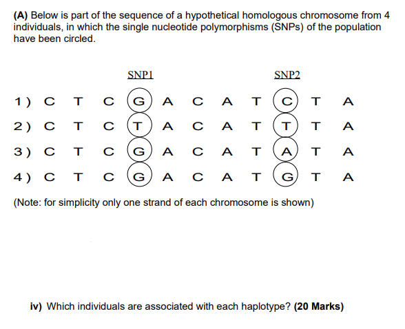 Solved (A) Below is part of the sequence of a hypothetical | Chegg.com