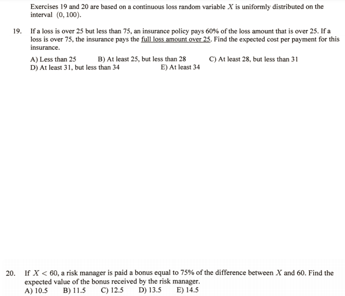 Solved Exercises 19 and 20 are based on a continuous loss | Chegg.com