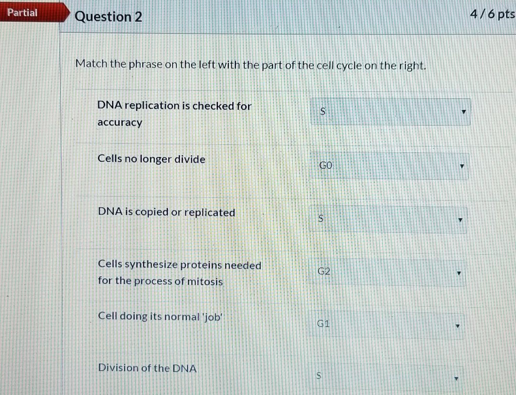 Solved Partial Question 3 5/8 pts Match the activity on the | Chegg.com