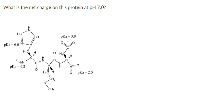 Solved What is the net charge on this protein at pH 7.0? | Chegg.com