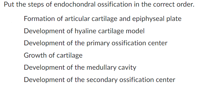 Solved It the steps of endochondral ossification in the | Chegg.com