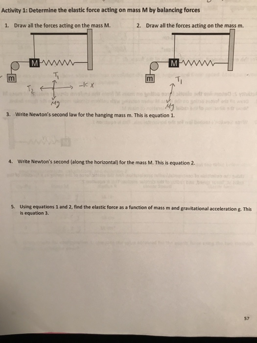 Solved Activity 1: Determine the elastic force acting on | Chegg.com