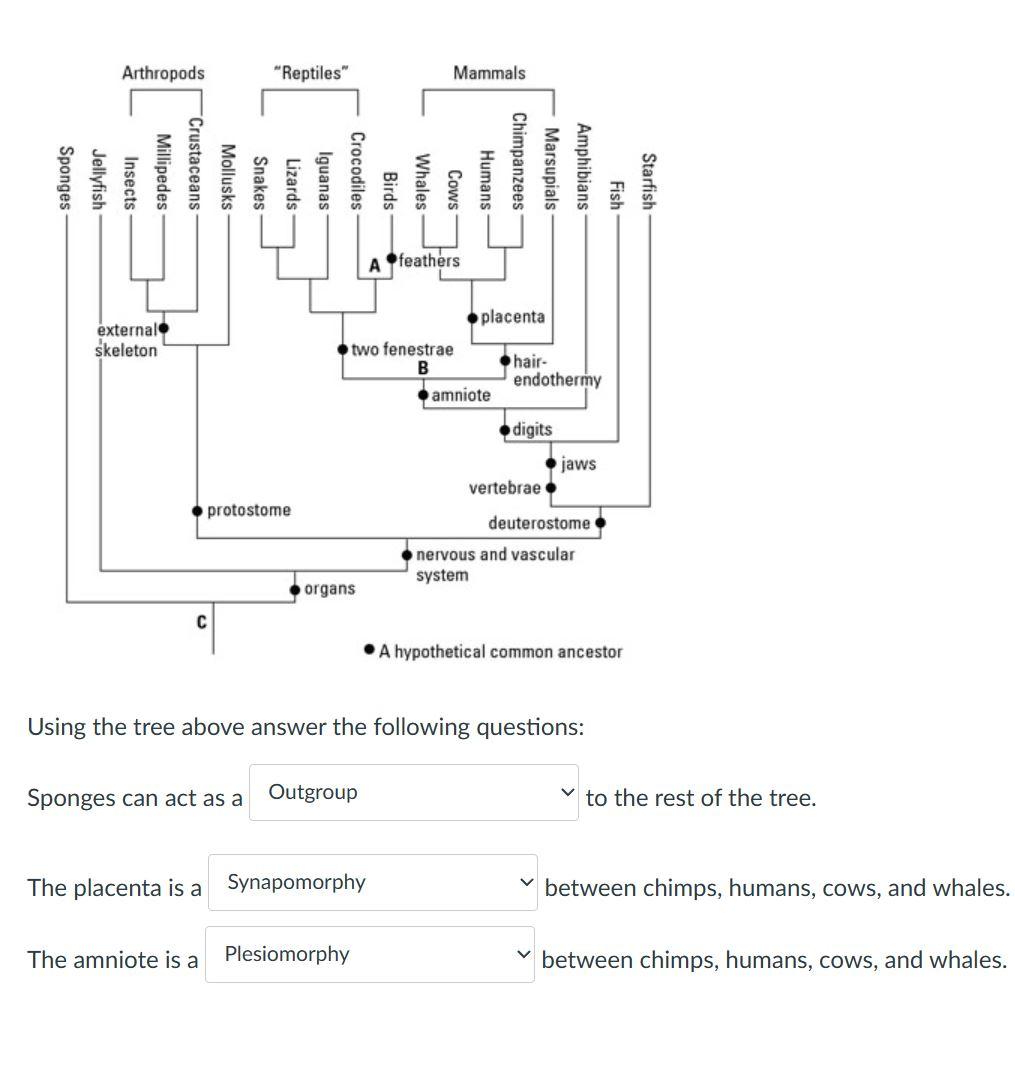 Solved choices for Q | Chegg.com