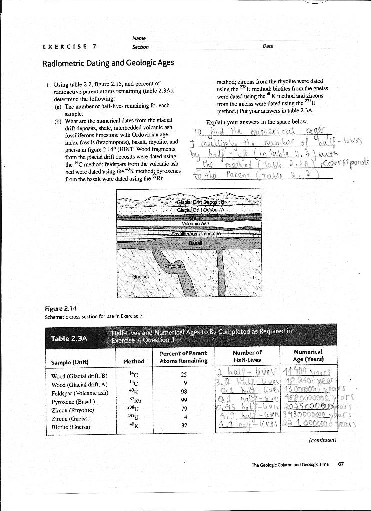 Solved Name Section EXERCISE 7 Date Radiometric Dating and | Chegg.com