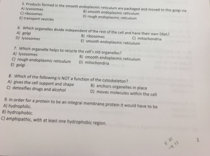 Solved 5. Products formed in the smooth endoplasmic | Chegg.com