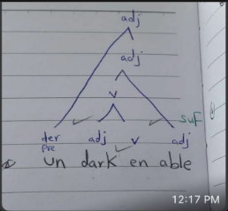 Solved Morphology Draw Morphological trees for the | Chegg.com