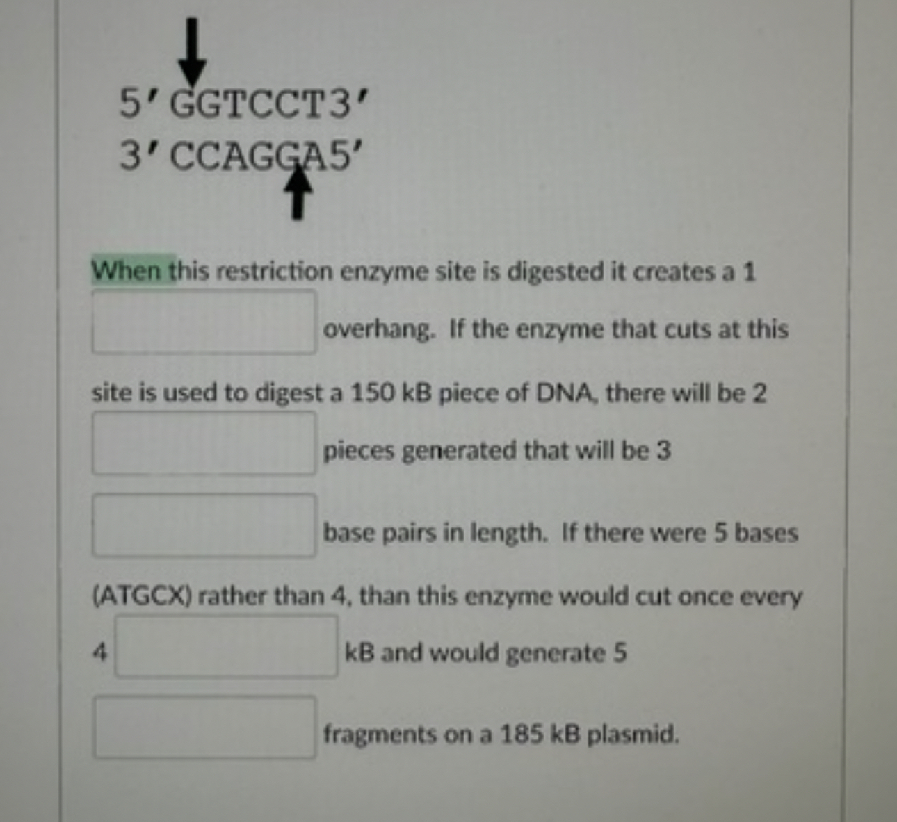 Solved 5' ﻿GGTCCT3'\( 3^{\prime} \) ﻿CCAGGA5'When this | Chegg.com